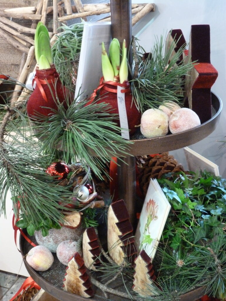 P1030577 - Florita das Blumengeschäft in Zumikon